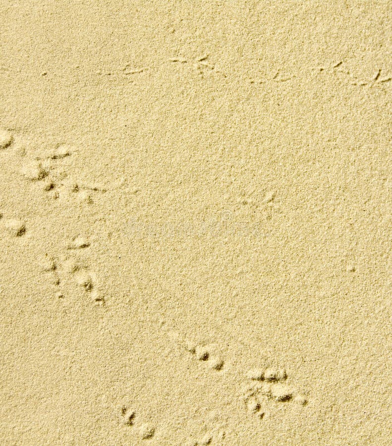 Texture de sable photo stock. Image du beauté, espace - 23290784