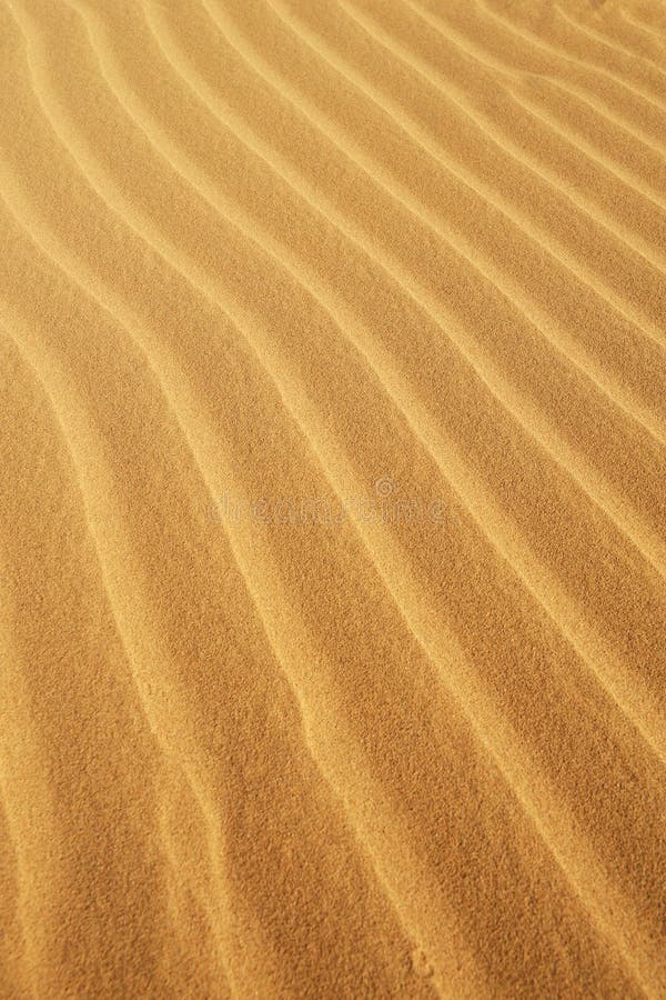 Texture de sable photo stock. Image du formation, végétation - 28121044