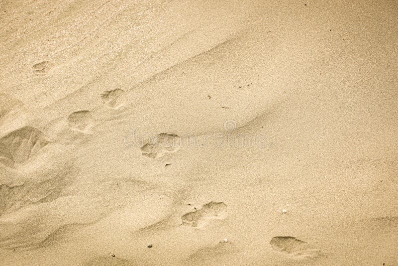 Texture De Sable Avec Des Traces Pour Les Milieux Image stock - Image ...