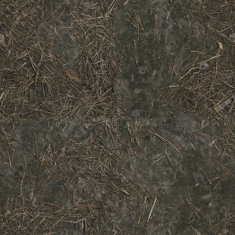 Texture De Sol Sale De Forêt Sans Couture Image stock - Image du forêt ...
