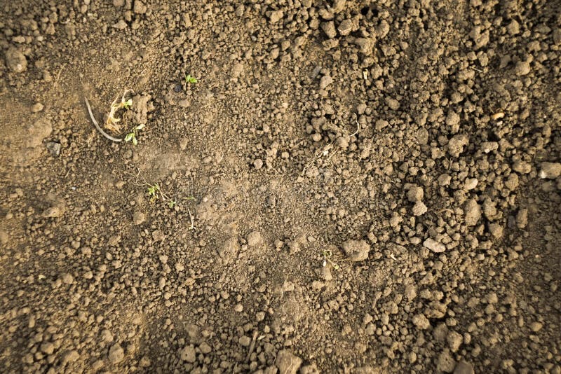 Texture De Sol. Sur Le Terrain De La Nature. Image stock - Image du ...