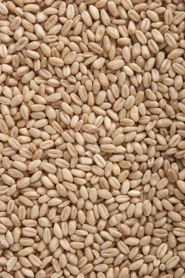 Texture de blé photo stock. Image du panneau, automne - 65920830