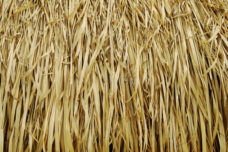 Texture de toit de chaume image stock. Image du nature - 18163071
