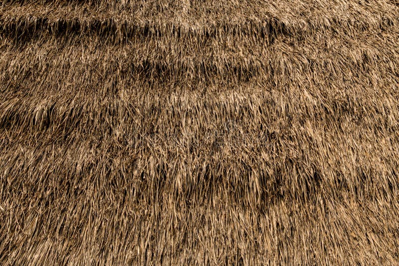 Texture De Toit Couvert De Chaume Photo stock - Image du couvert, toit ...