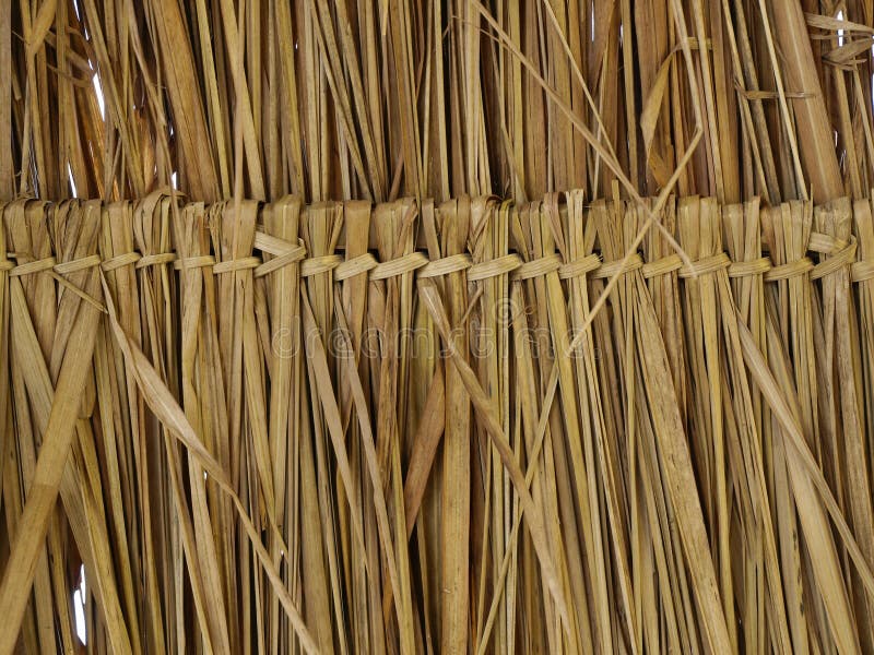 Texture de toit de chaume image stock. Image du nature - 18163071
