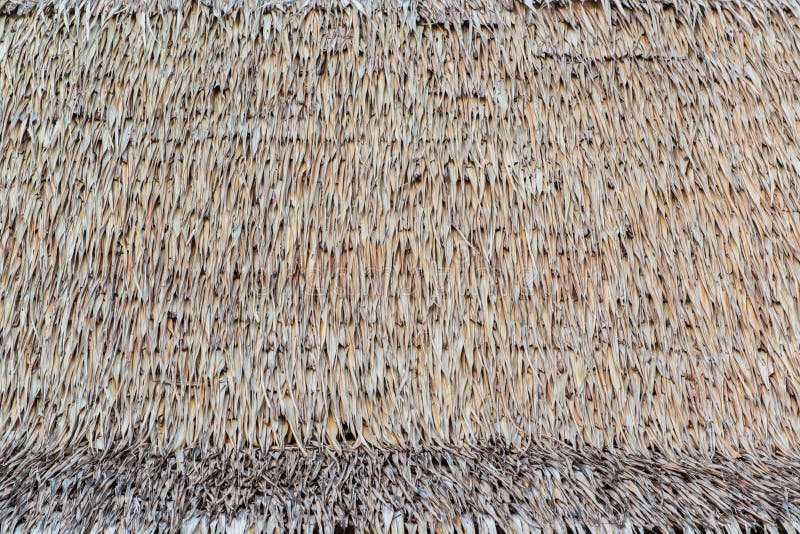 Texture de toit de chaume photo stock. Image du toiture - 32933182