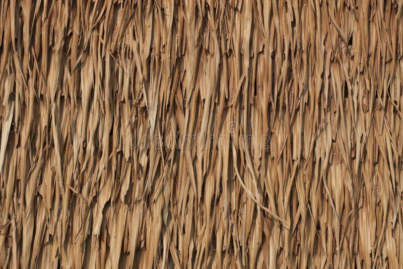 Texture de toit de chaume image stock. Image du contexte - 36573499