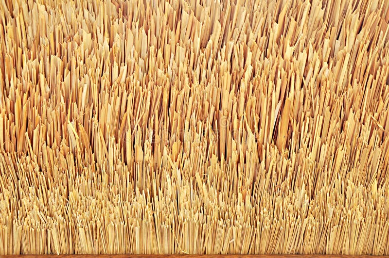Texture de chaume photo stock. Image du rustique, congé - 37154280