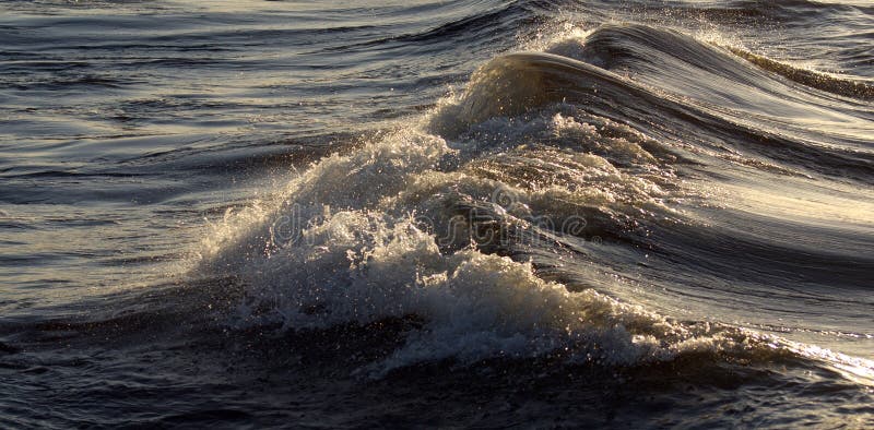 Texture De Vague De Mer Image. Image: 20969244