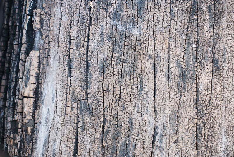 Texture De Vieux Bois De Teck Photo stock - Image du contexte, vieux ...