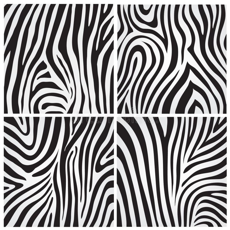 Texture De Zèbre De Vecteur Illustration de Vecteur - Illustration du ...