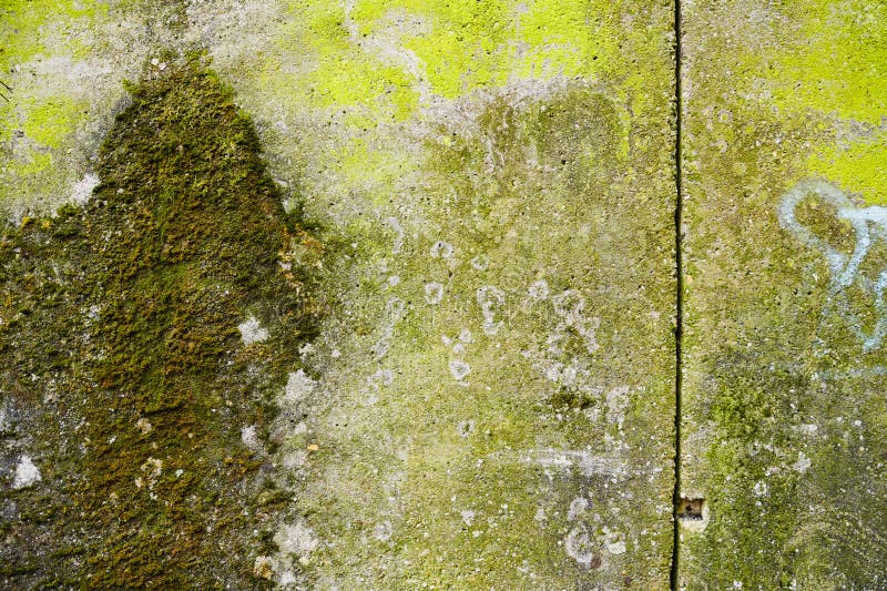Texture of Decayed Moss Concrete Wall Stock Photo - Image of groove ...