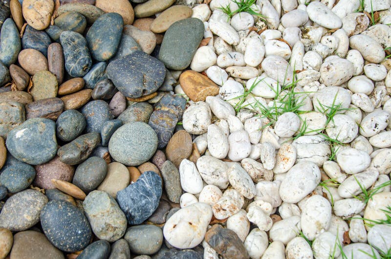 Texture is Decorative Pebbles. Textured Background of Smooth Multi ...