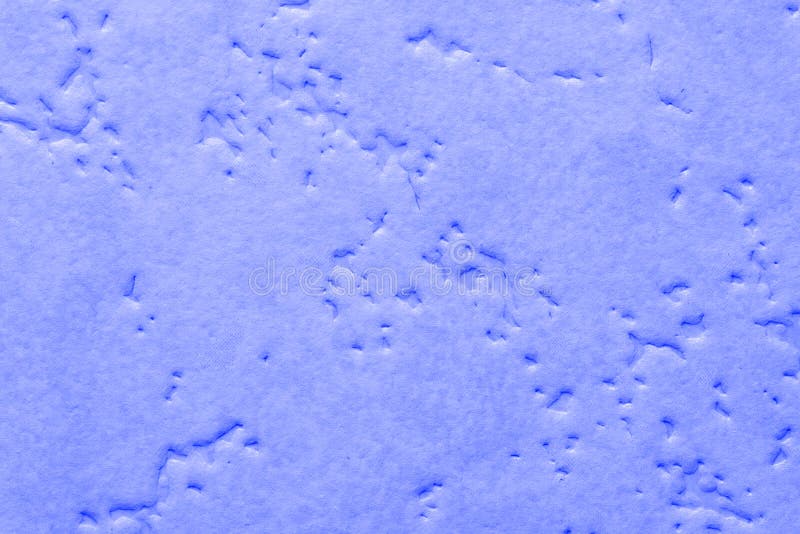 Delicate Blue Ember Stock Photos - Free & Royalty-Free Stock Photos ...