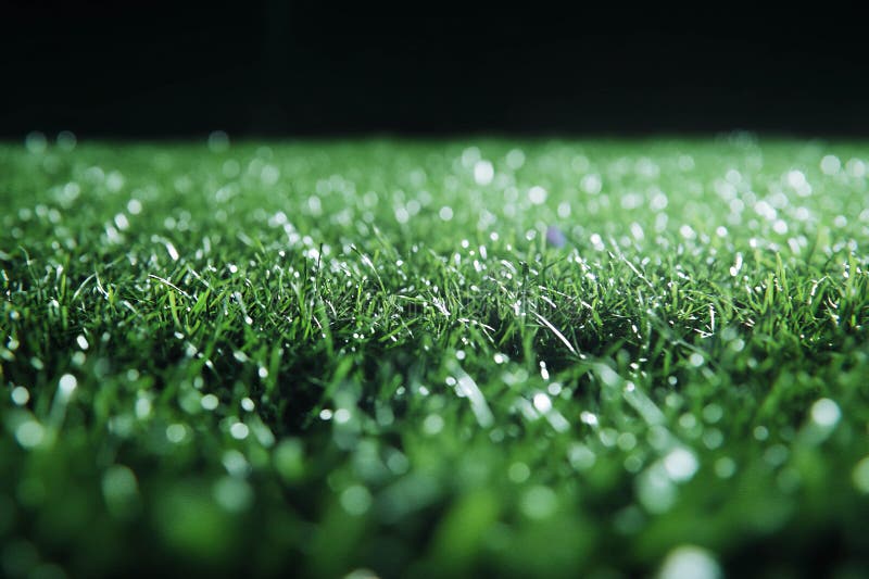 Texture of Dense, Soft Grass with Deep Green Hue on a Dark Background ...