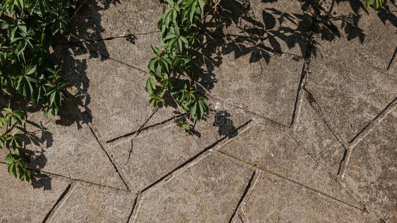 Texture of Designer Concrete Facade with Triangles Stock Photo - Image ...