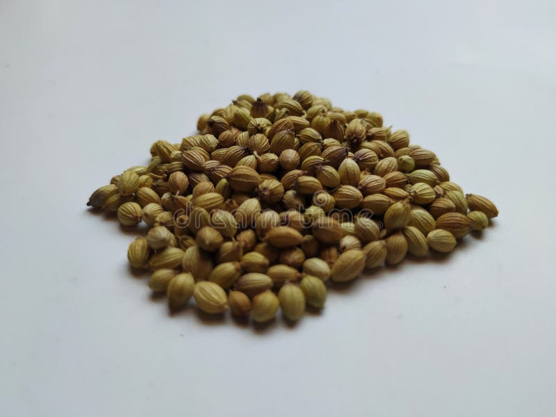 Texture of Dhaniya Seeds. Heap of a Coriander or Dhania Seeds in a ...