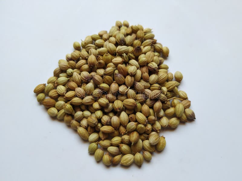 Texture of Dhaniya Seeds. Heap of a Coriander or Dhania Seeds in a ...