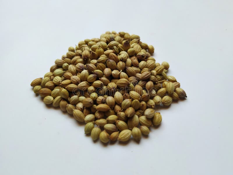 Texture of Dhaniya Seeds. Heap of a Coriander or Dhania Seeds Isolated ...