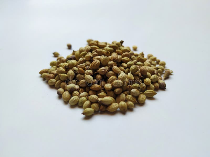 Texture of Dhaniya Seeds. Heap of a Coriander or Dhania Seeds in a ...