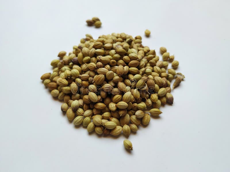 Texture of Dhaniya Seeds. Heap of a Coriander or Dhania Seeds in a ...