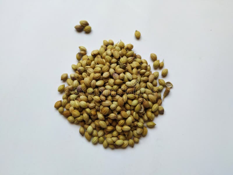 Texture of Dhaniya Seeds. Heap of a Coriander or Dhania Seeds in a ...