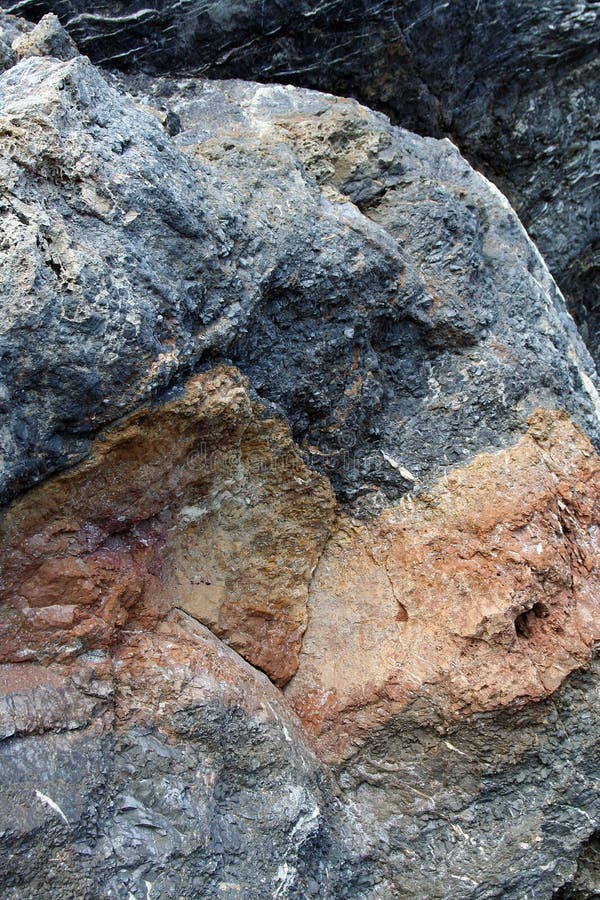 Texture di roccia stock image. Image of vari, trunk - 257563399