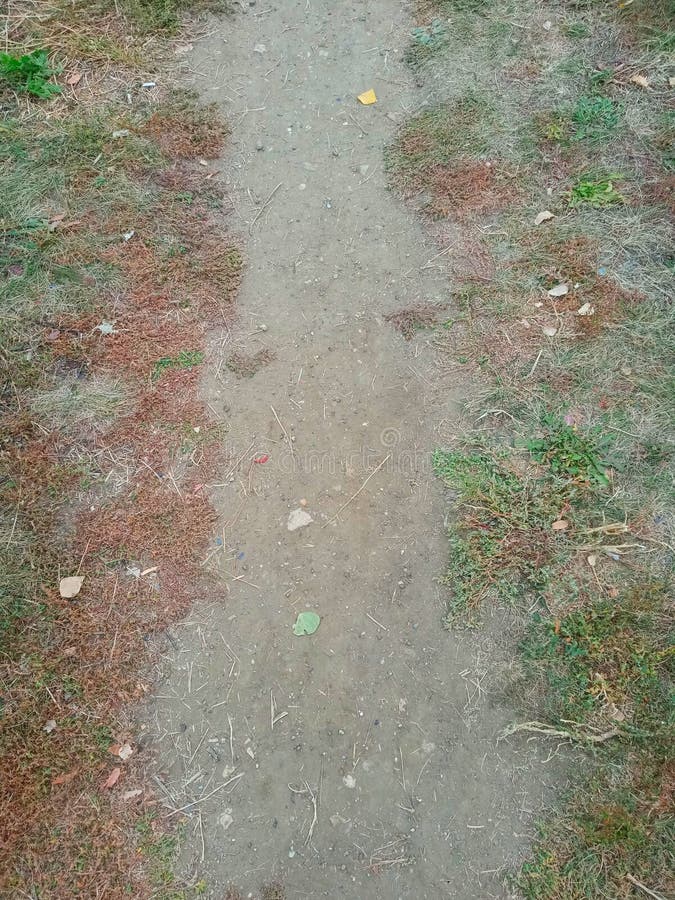 8,599 Dirt Path Texture Photos - Free & Royalty-Free Stock Photos from ...