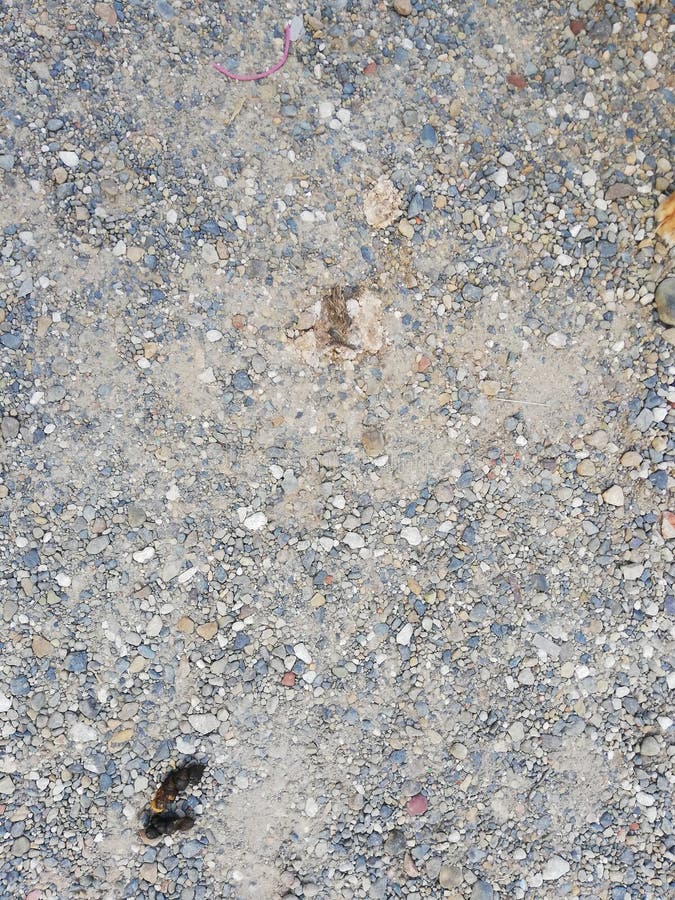 Texture of dirt and rocks stock photo. Image of rocks - 141093136