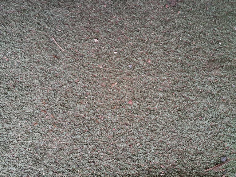 Texture stock photo. Image of dirty, carpet, texture - 158840060
