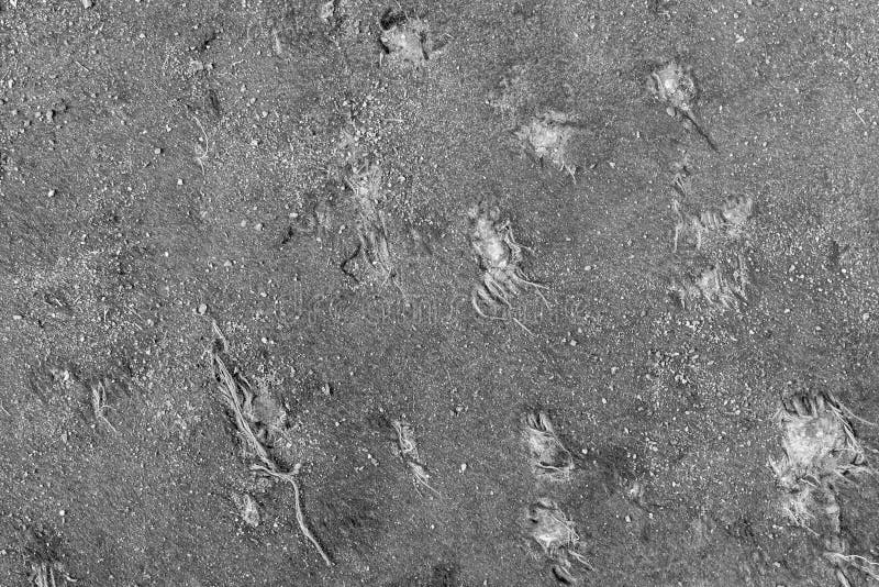 Old rag texture stock photo. Image of fabric, rough, textured - 23044800