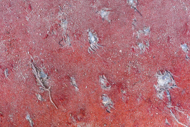 Texture of a Dirty Rag Red Color Stock Image - Image of uneven, color ...