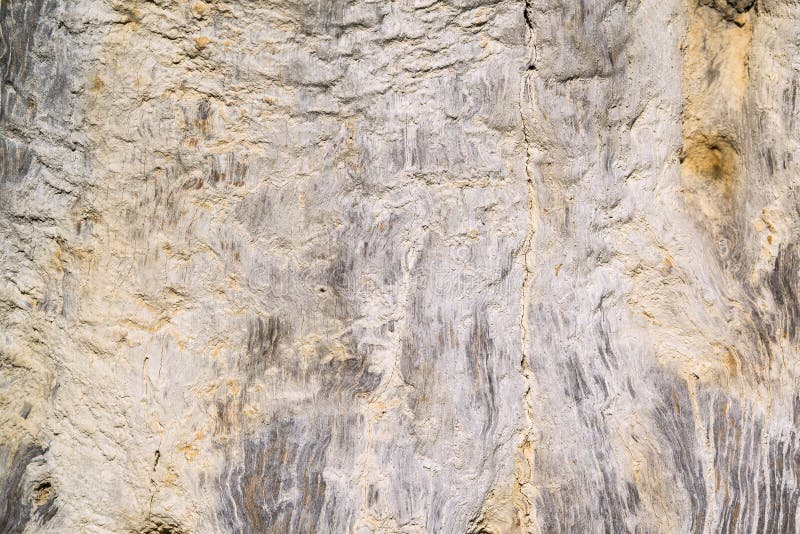 Texture of a Dirty Surface an Old Tree Stock Photo - Image of abstract ...