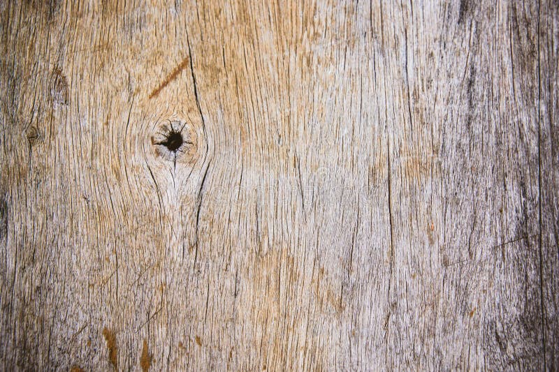 Dirtyl Stock Photos - Free & Royalty-Free Stock Photos from Dreamstime