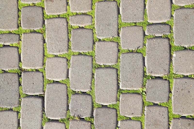 Texture Of Diy Garden Path Made From Concrete Poured In Paver Forms With Grass In Gaps Between