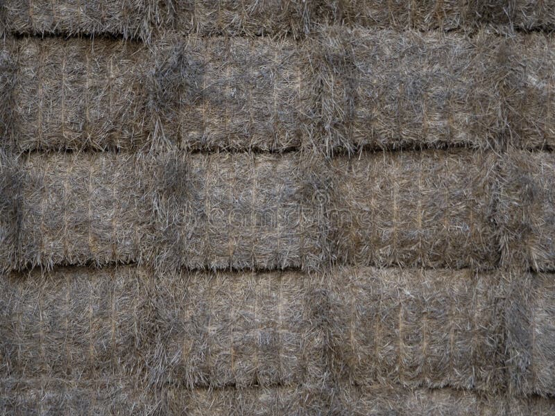 Texture of dried straw stock image. Image of grain, closeup - 258589677