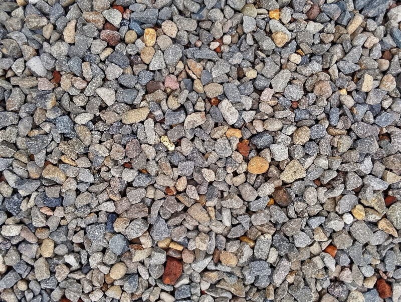 Texture of dry coral rock stock photo. Image of rubble - 351313208