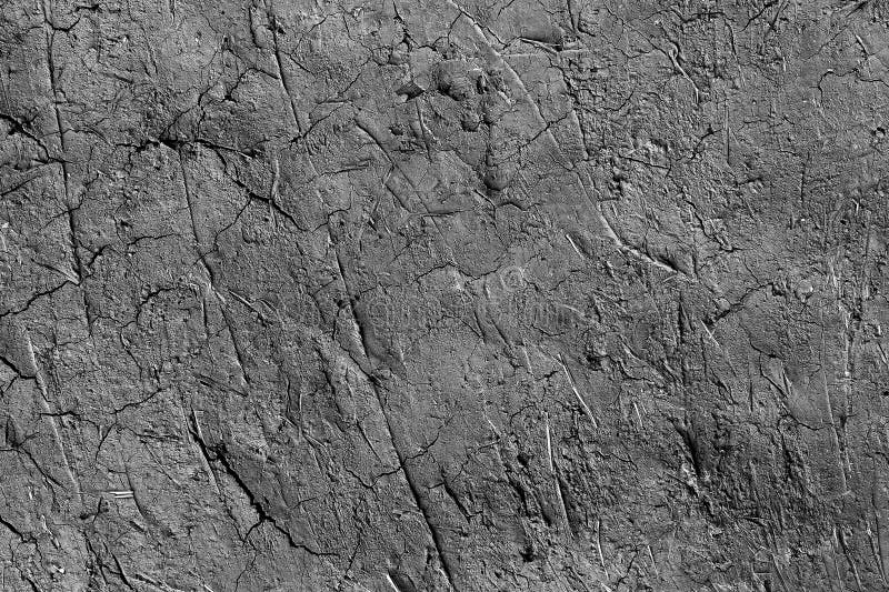 Texture of Dry Cracked Clay or Earth. the Concept of Drought, Global ...