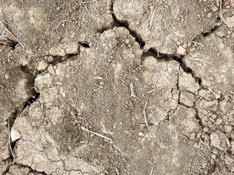 187 Effect Climate Change Skin Stock Photos - Free & Royalty-Free Stock ...