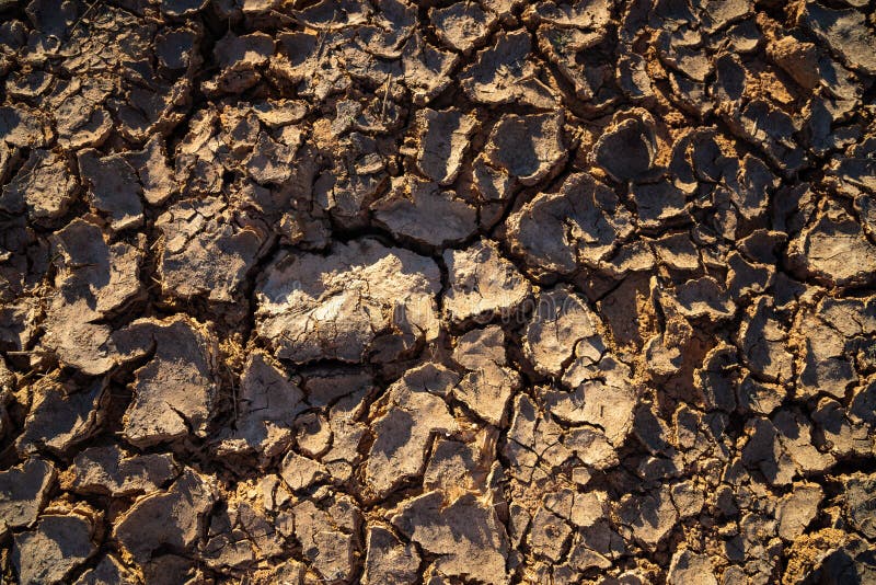 Texture of Dry and Dehydrated Ground Stock Photo - Image of detail ...