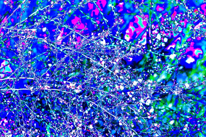 Texture of Dry Grass for Runoff, Changed Color Scheme. Stock ...