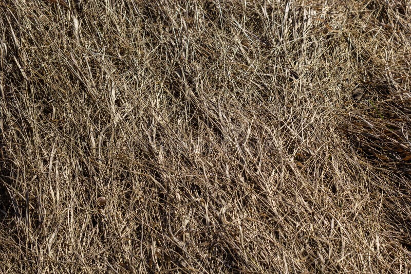 Top View Soil Texture Background. Sand Stock Image - Image of field ...