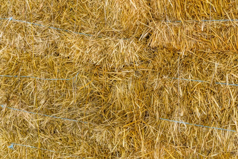 Texture of the Dry Hay for the Background Stock Image - Image of detail ...