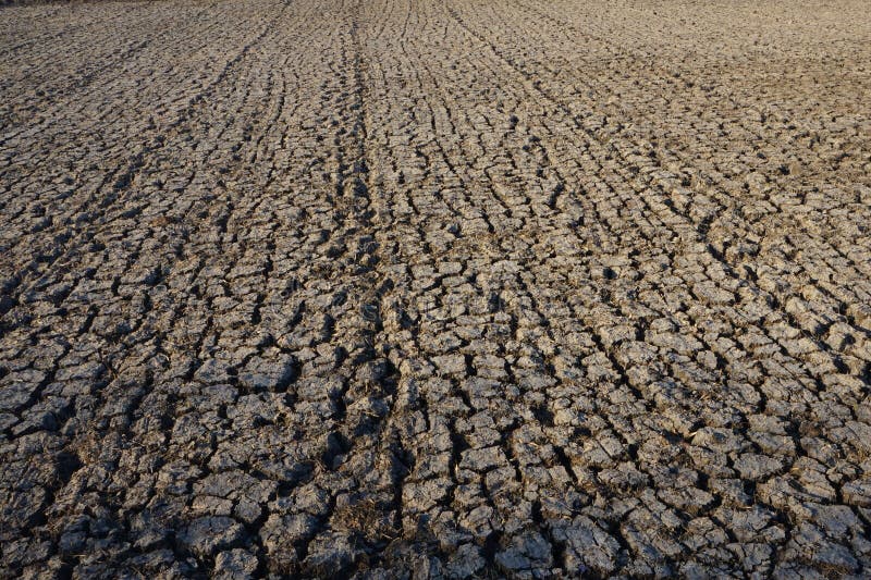 Dry Soil Texture Cracks in the Dry Season Stock Image - Image of ...