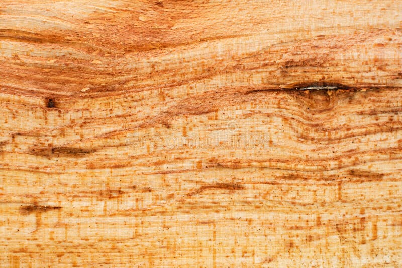 Texture of dry wood stock image. Image of grain, floor - 52846673