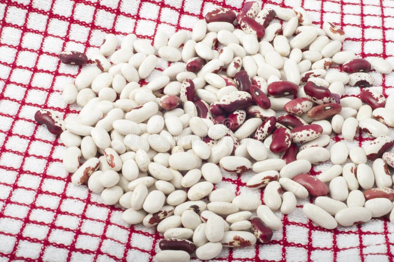 Rouge et haricots blancs photo stock. Image du sain, graine - 37473154