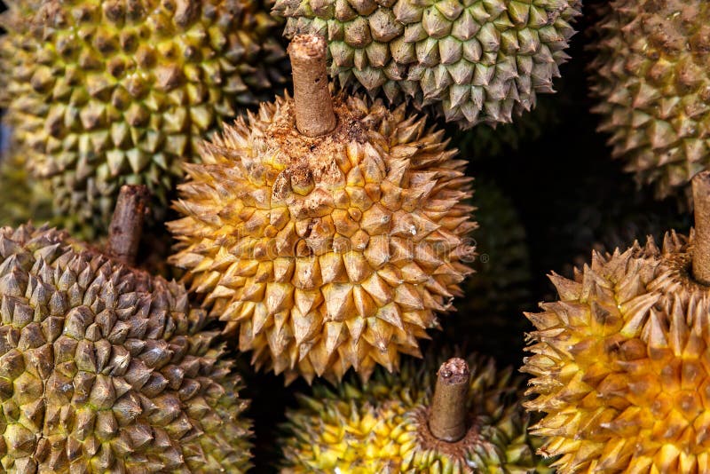 The Texture of Durian, King of Fruit Stock Photo - Image of dorian ...