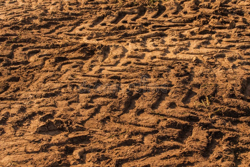 Texture of the Earth. Black Earth Soil Texture Stock Image - Image of ...