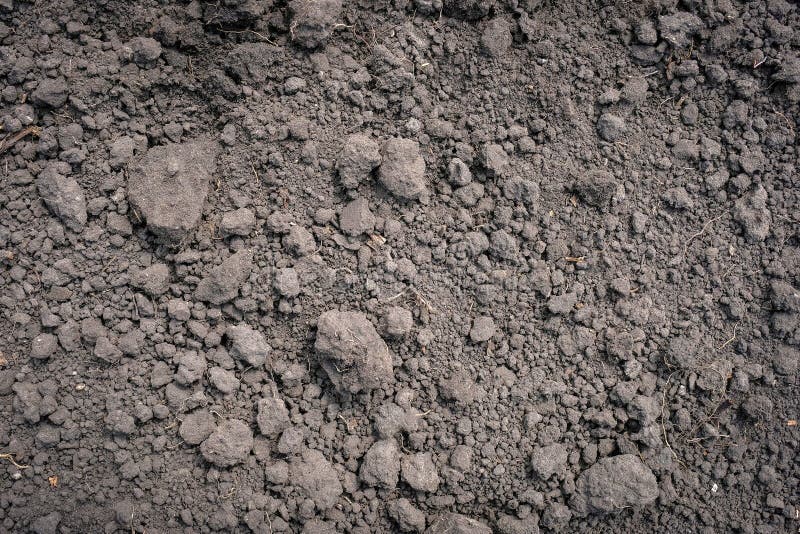 The Texture of the Earth Closeup. Background of Soil, Chernozem Stock ...