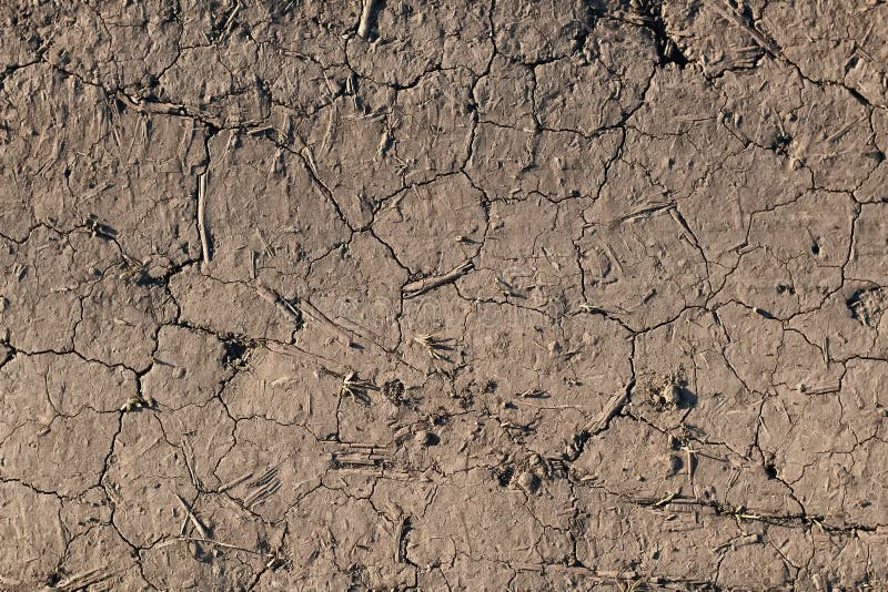 1,896 Germs Texture Stock Photos - Free & Royalty-Free Stock Photos ...